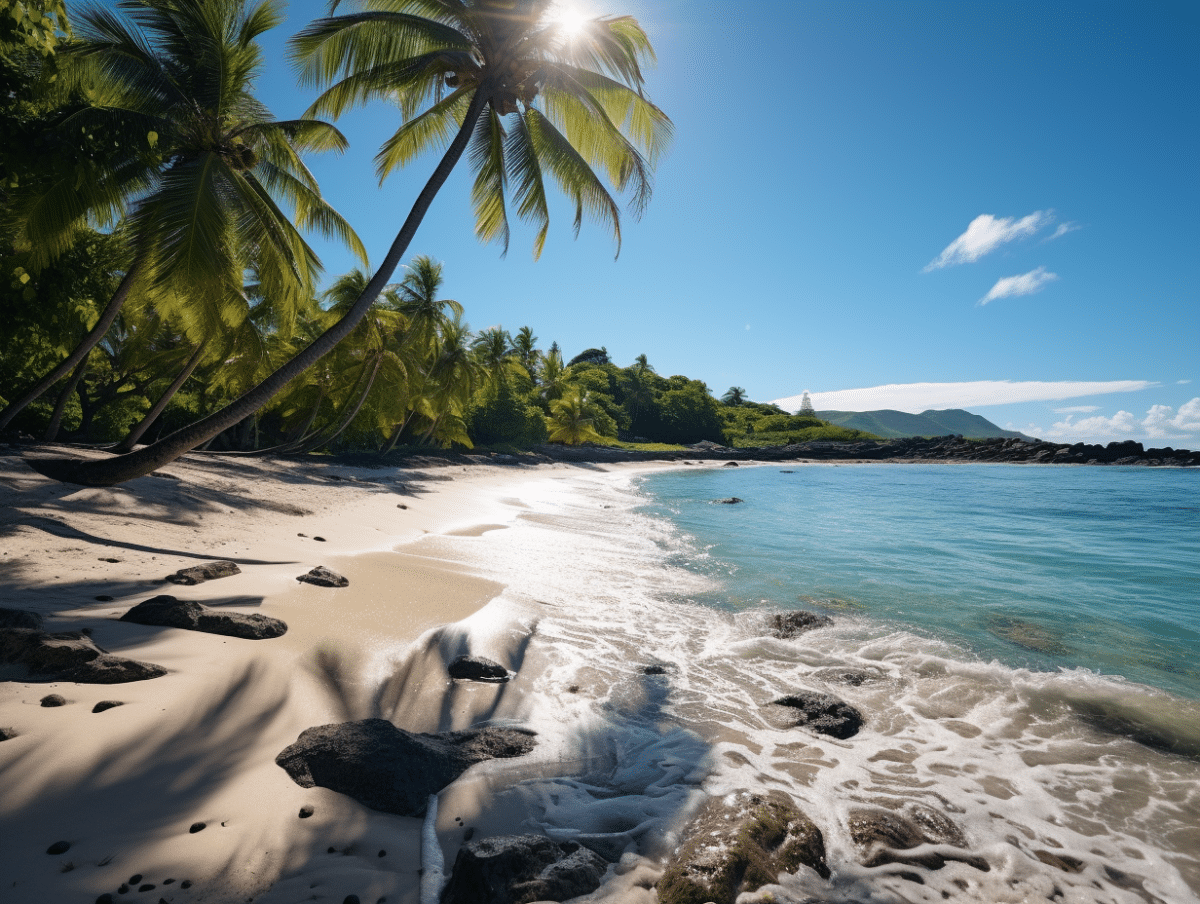 Préparation et conseils pour vos prochaines vacances tropicales : zoom ...